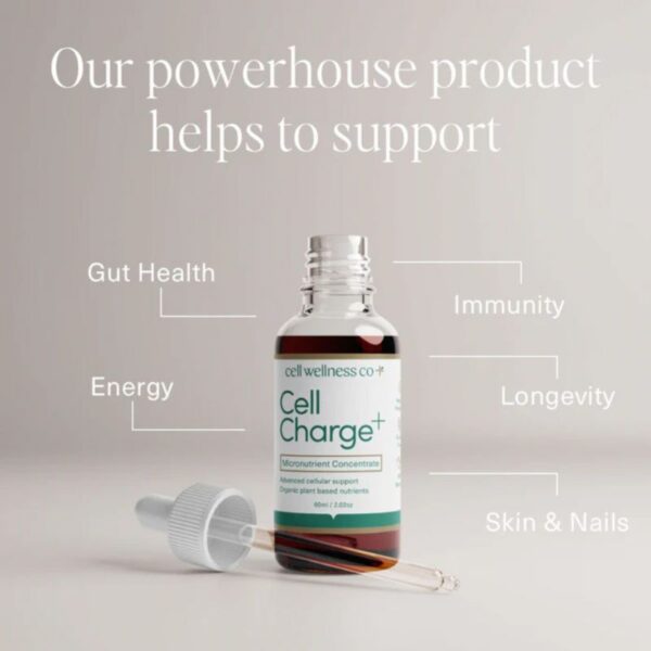Cell + Charge - Super Nutrient Booster By Cell Wellness Co