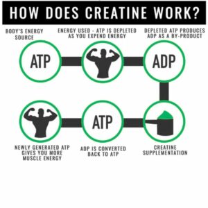 Muscle Nation Creatine Monohydrate 30 Serves - Me Muscle Nutrition